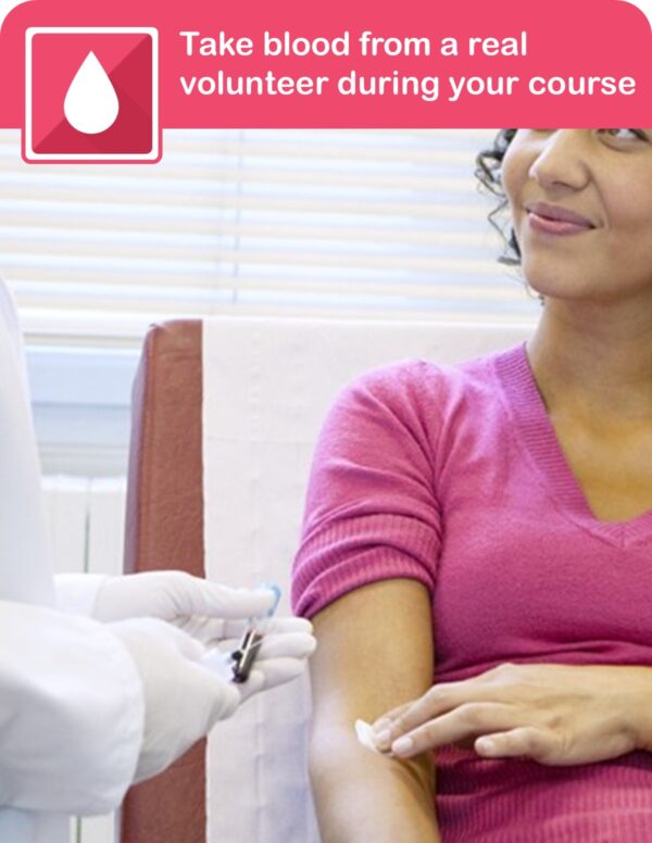 🩸 Venepuncture Masterclass (CPD) - Bloods & Beyond